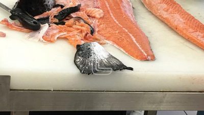 Chopping Block (Butcher Block) – Euroshore Sdn Bhd